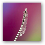 FDA Clearance Given for MiniArc(R) Precise Single-Incision Sling From ...